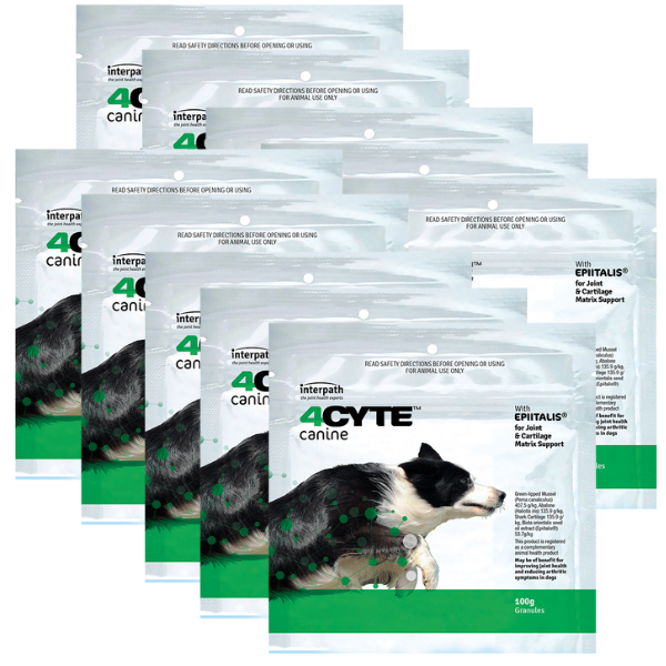 4Cyte Dog Supplement (10 x 100g) – Stable Edge