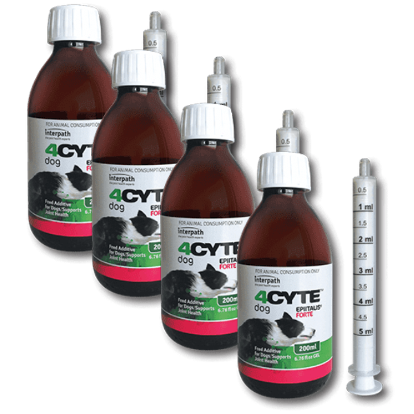 4Cyte Epiitalis Forte for Dogs - 4 X 200ml – Stable Edge