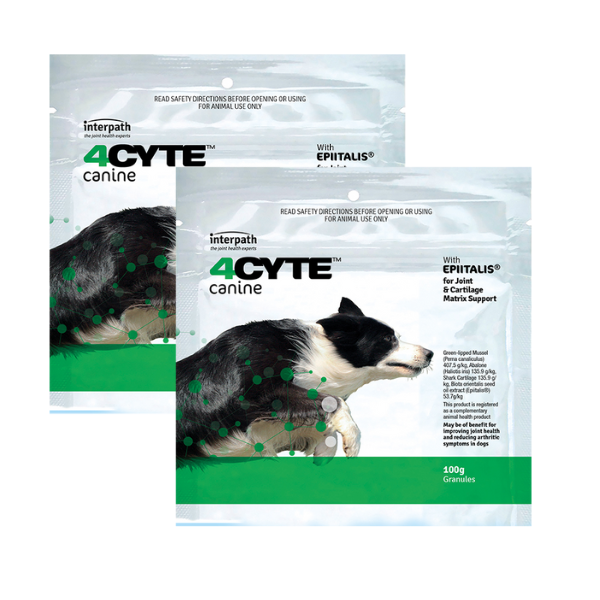 4Cyte Dog Supplement (2 x 100g) – Stable Edge