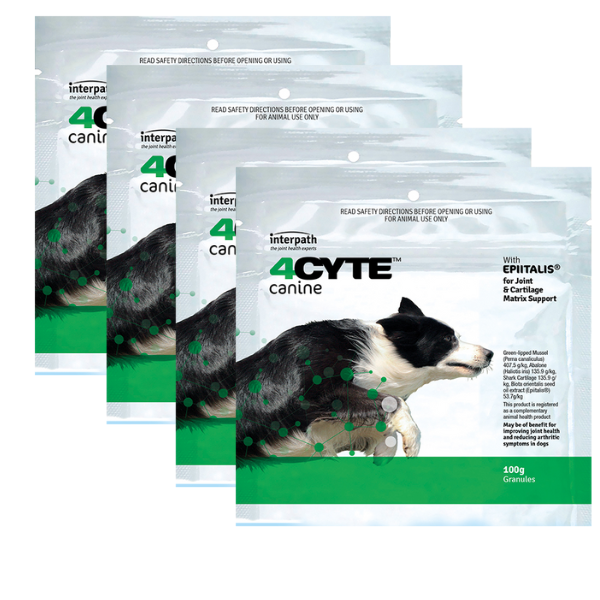 4Cyte Dog Supplement (4 x 100g) – Stable Edge