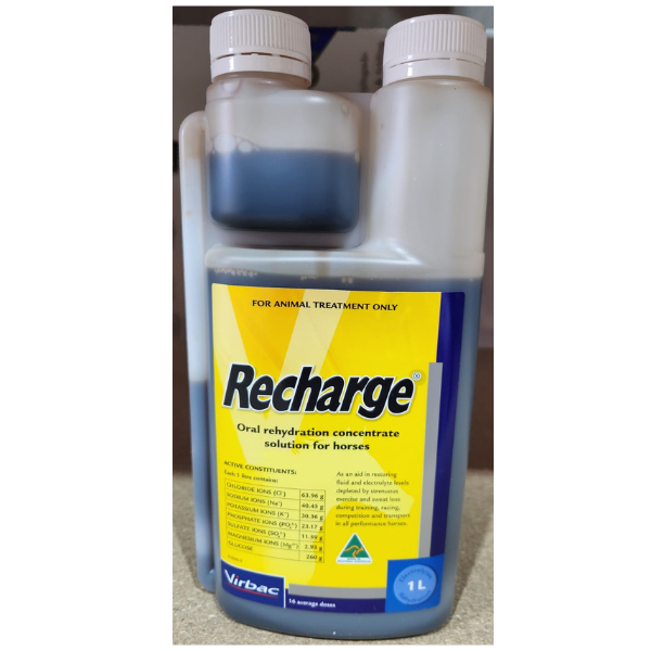 Recharge 1L – Stable Edge